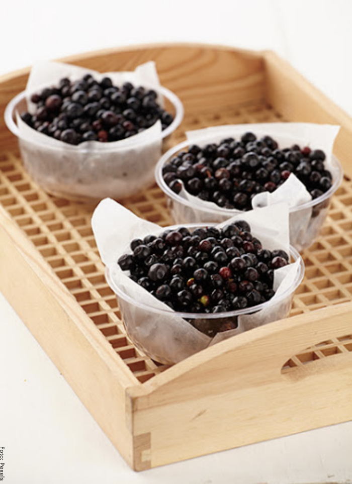 Para qué sirve el agraz, ¡inclúyelo en tu alimentación! | Vibra