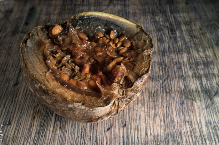 Para qué sirve el borojó, ¡una fruta energizante! | Vibra