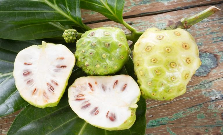 ¿Para qué sirve el noni? Un fruto con muchos beneficios