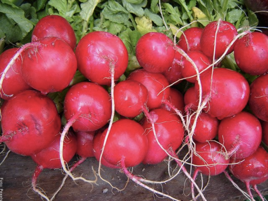 Para qué sirve el rábano, sus beneficios para la salud