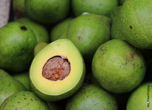 Para qué sirve la pepa de aguacate, ¡plop! Sorpréndete