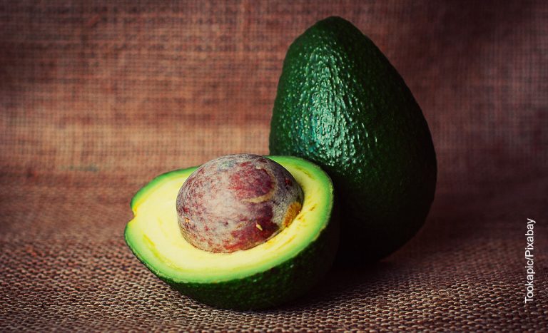 Para qué sirve la pepa de aguacate, ¡plop! Sorpréndete