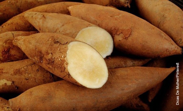 ¿Para qué sirve el yacón? Deberías conocer sus beneficios