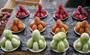 Fruto del cactus, ¡aprovecha todas sus propiedades!