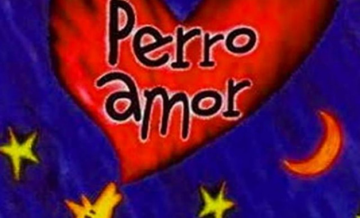 Elenco de 'Perro amor' ahora luce muy distinto - Vibra