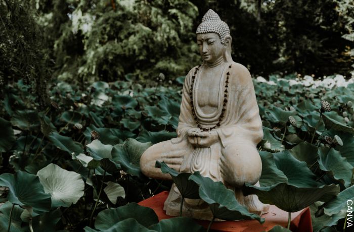 Karma y dharma, ¡tenlos en cuenta para equilibrar tu vida! - Vibra