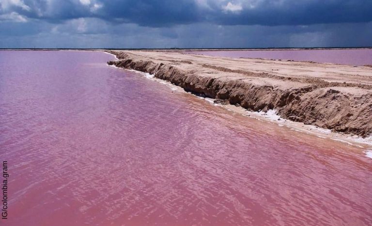 Mar Rosado de Colombia, ¡un destino que debes visitar!