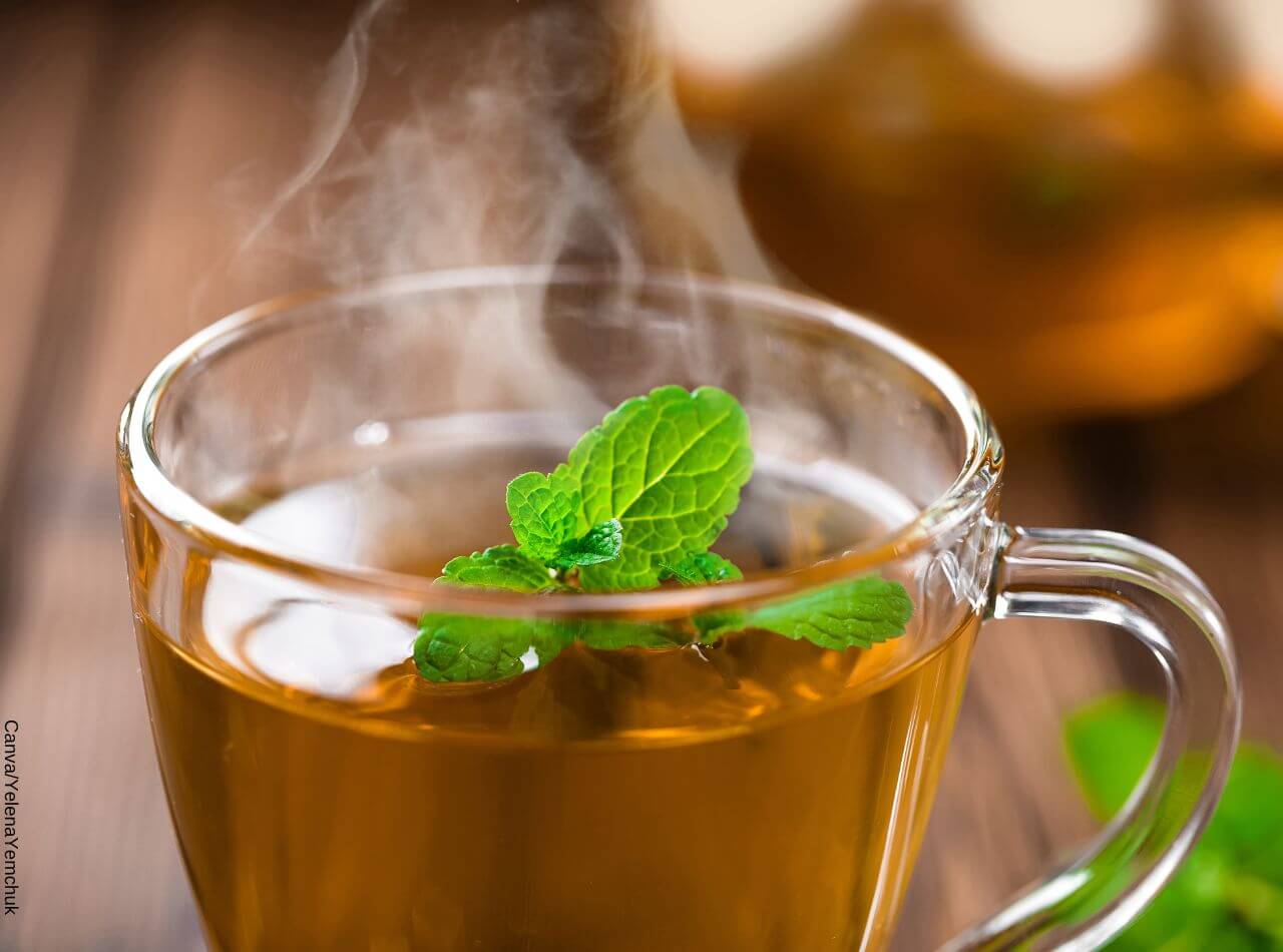 Para qué sirve el poleo: ¡expectorante natural!