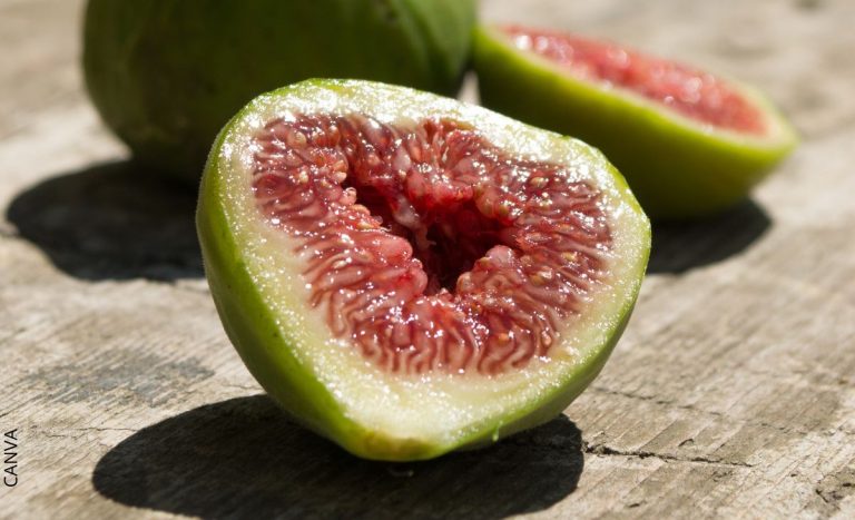 ¿Para qué sirven las brevas? Empieza a incluirlas en tu dieta