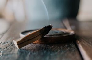 Palo santo: para qué sirve y las formas de emplearlo