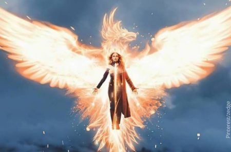 Ave Fénix: significado que puedes aplicar en tu vida diaria