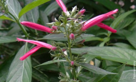 ¿Para qué sirve la singamochila? Descubre sus beneficios