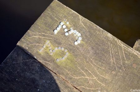 Significado del número 33: ¡Podrías influir en las personas!